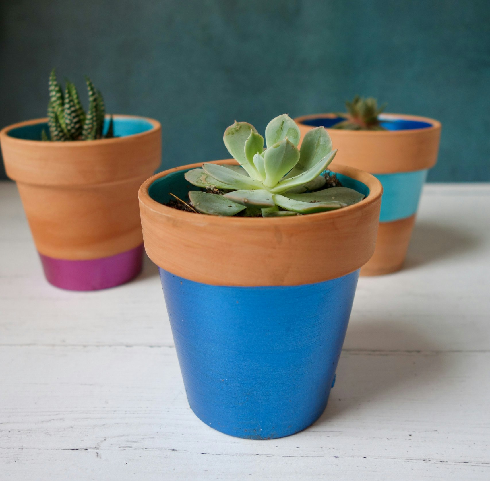 Color Blocked Flower Pots - South Lumina Style