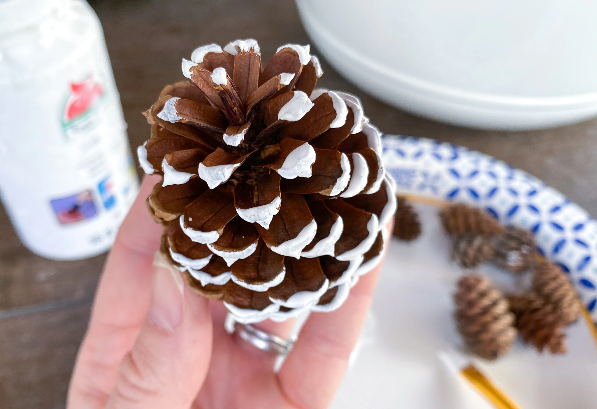 Snowy Pinecone Picks - South Lumina Style