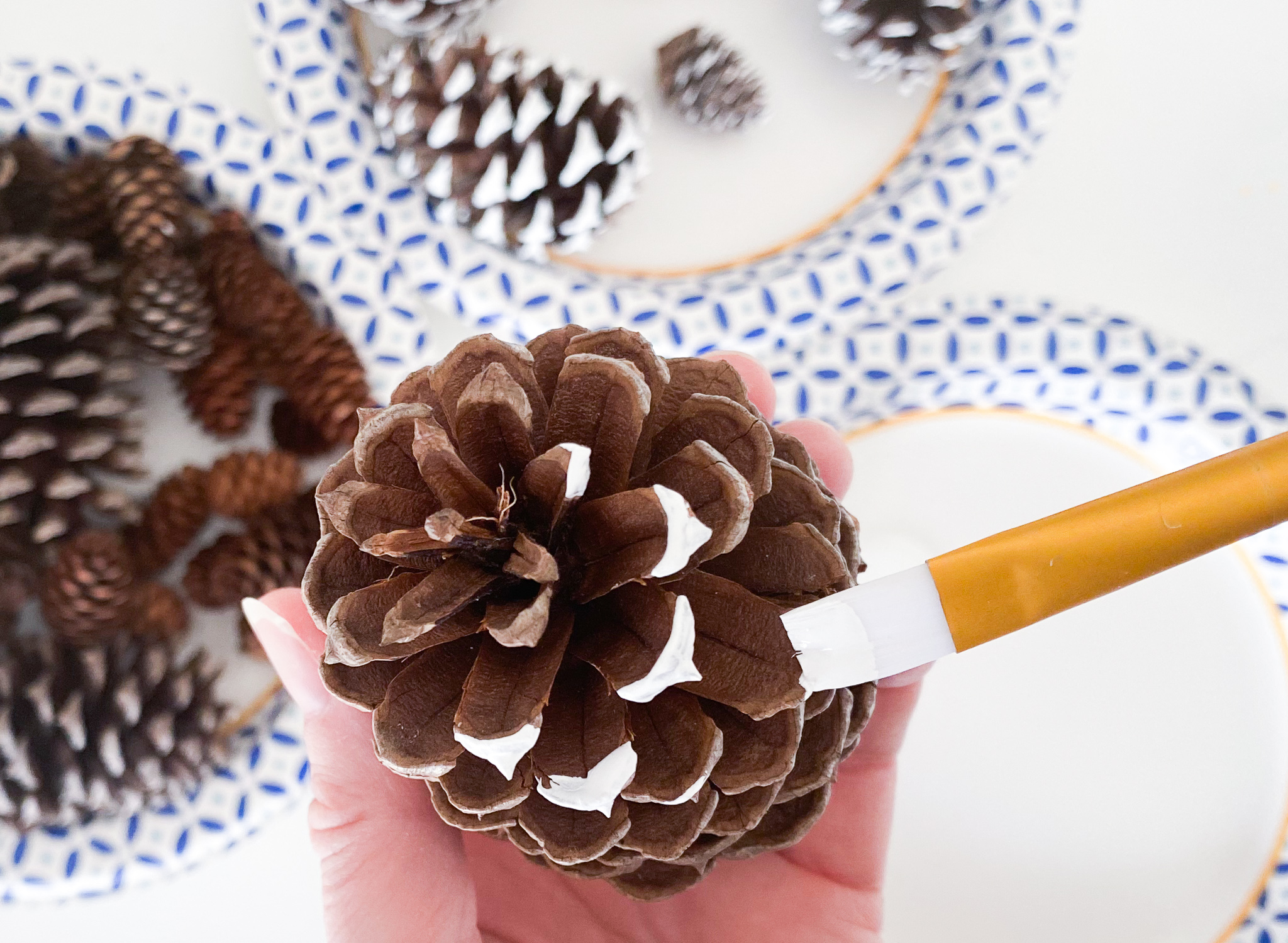 Snowy Pinecone Picks - South Lumina Style