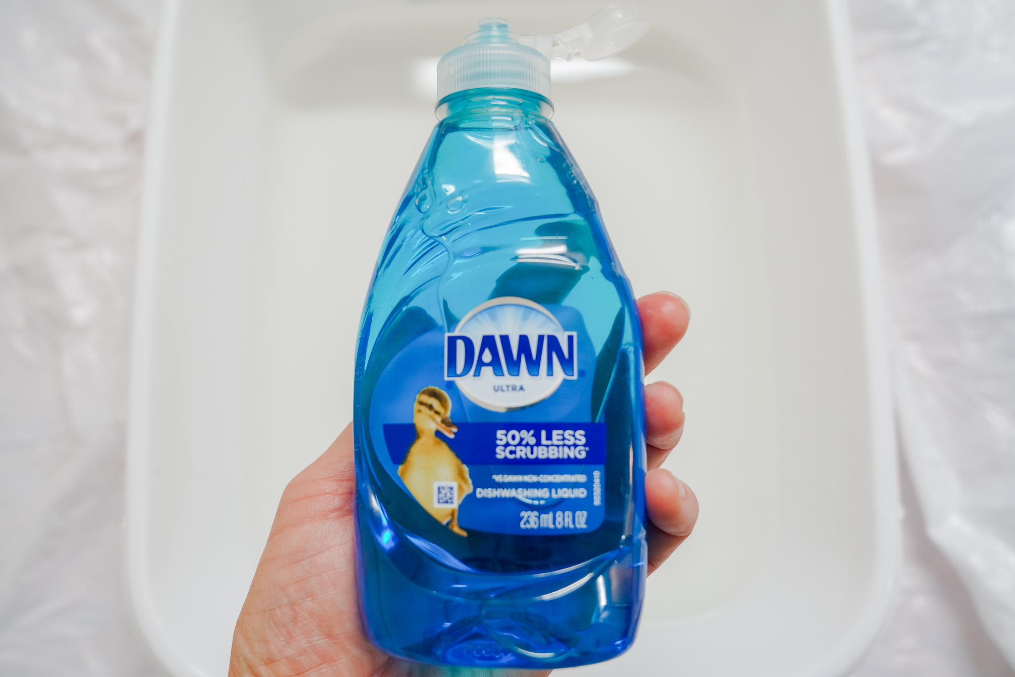 How To Clean Seashells - South Lumina Style