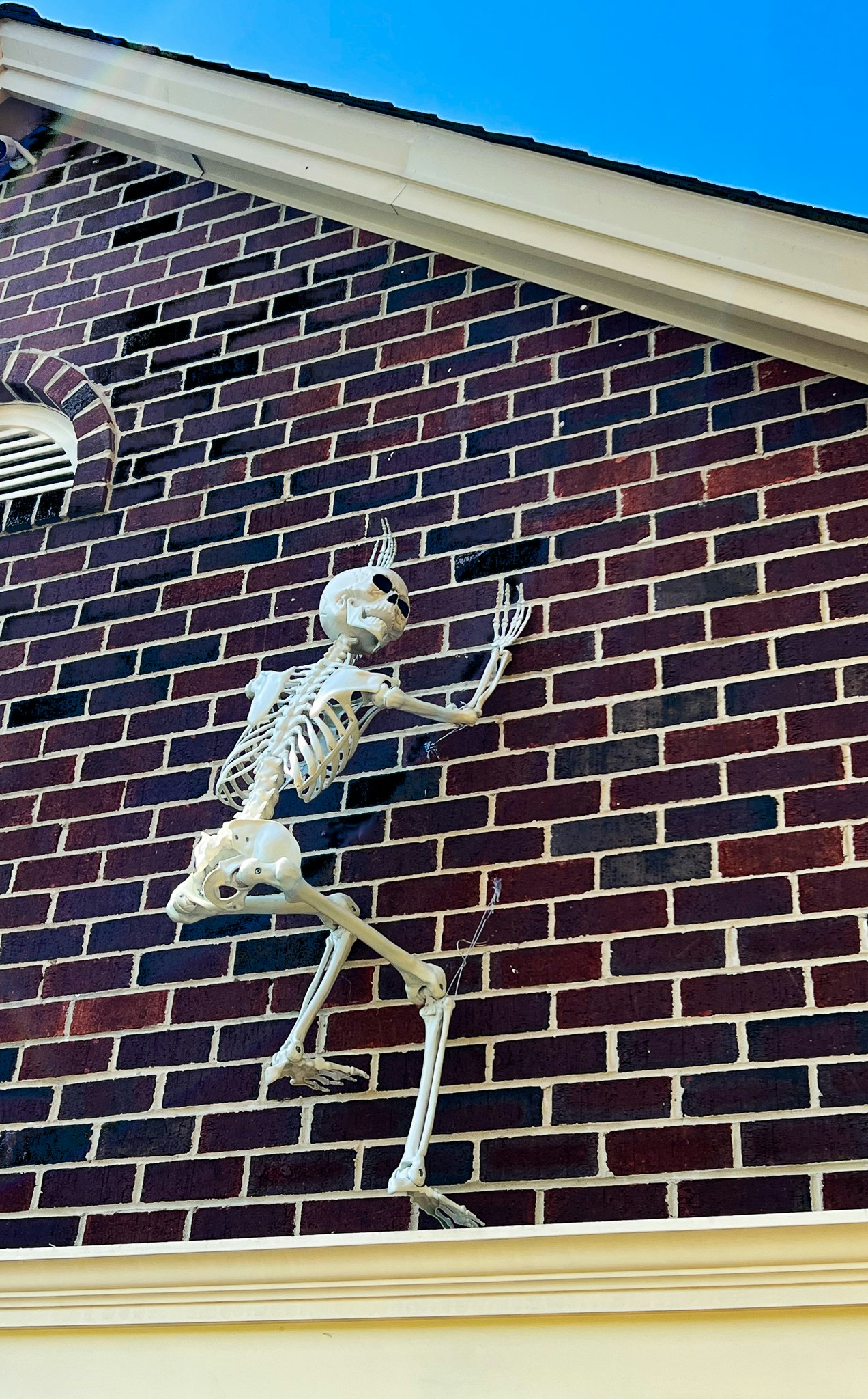 Skeletons Climbing The House - South Lumina Style